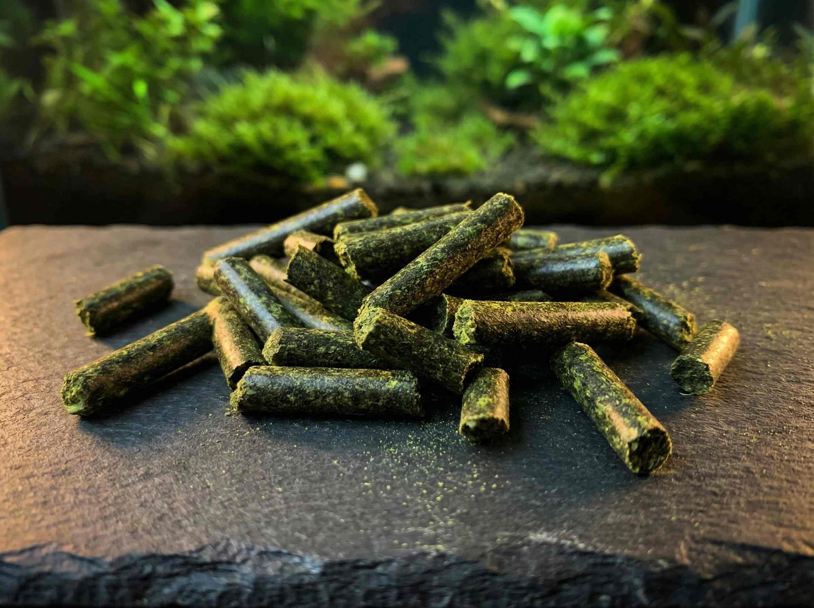 Nettle Shrimp Food Pellets (100% Stinging Nettle) – ShrimpKeeper.co.uk